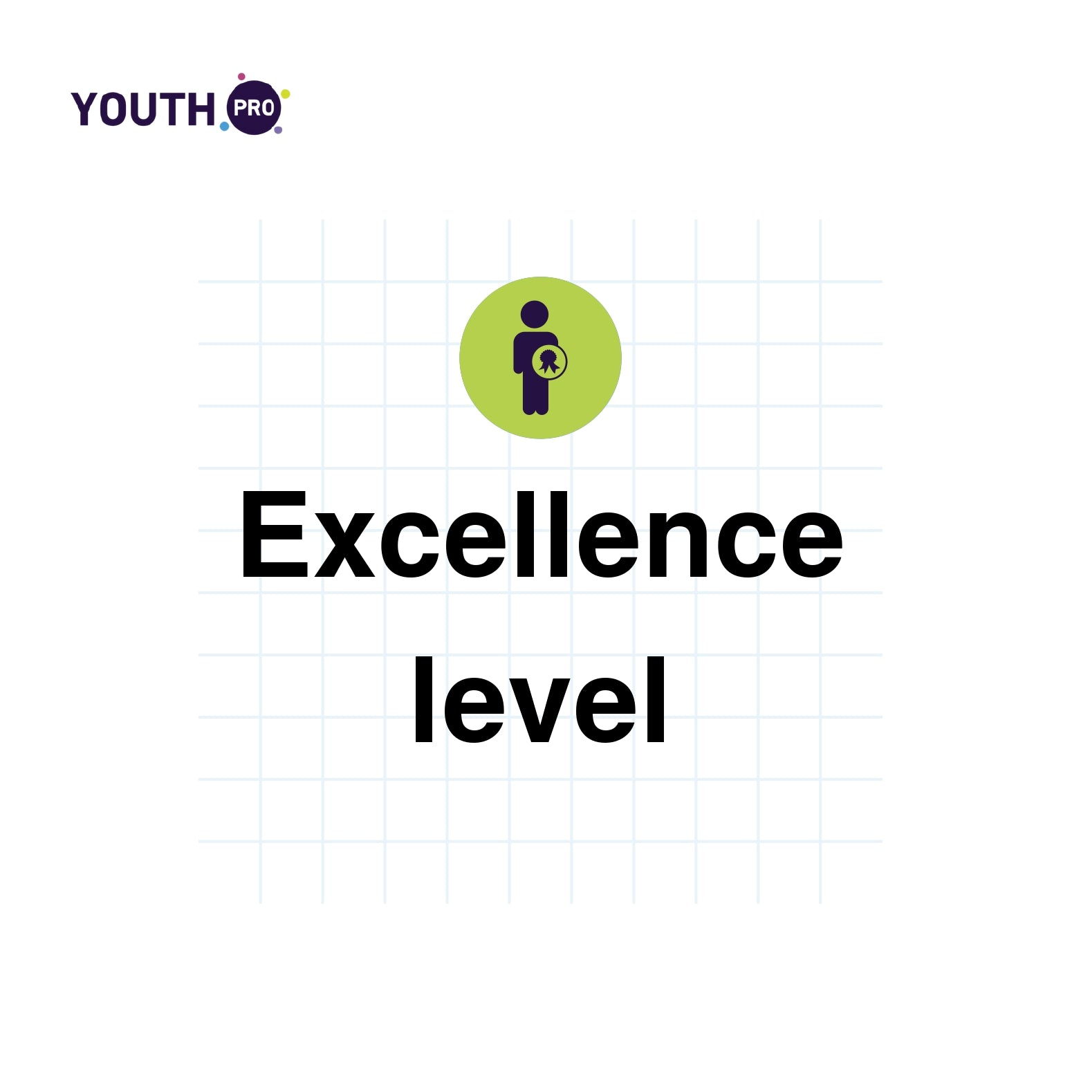 Excellence Level – Youth Professional